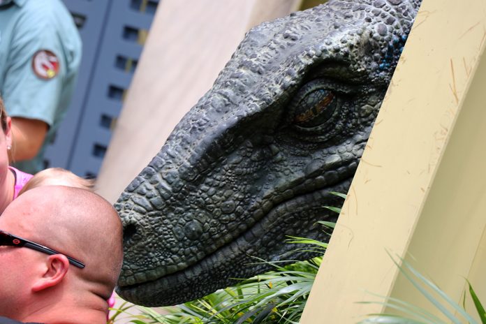 Blue the Raptor debuts at Universal Orlando and Universal Studios ...