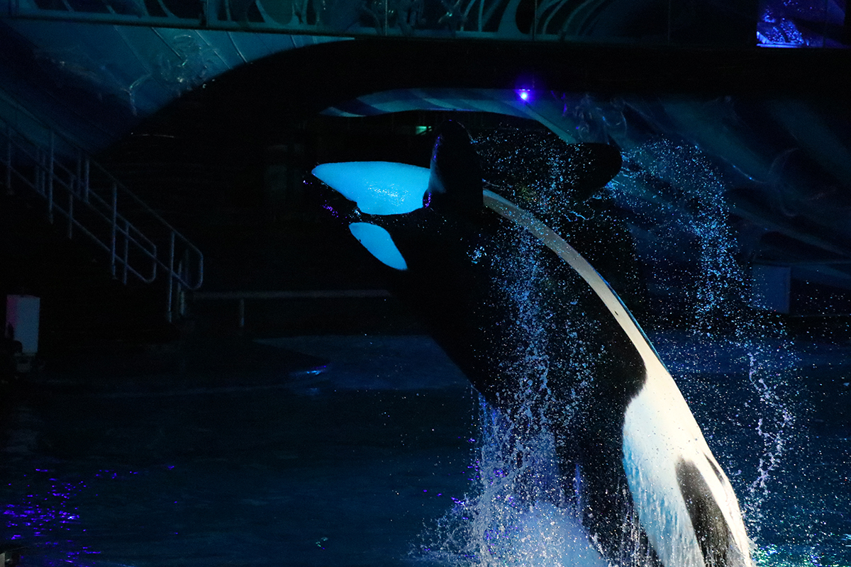 Img 9949 Inside Universal