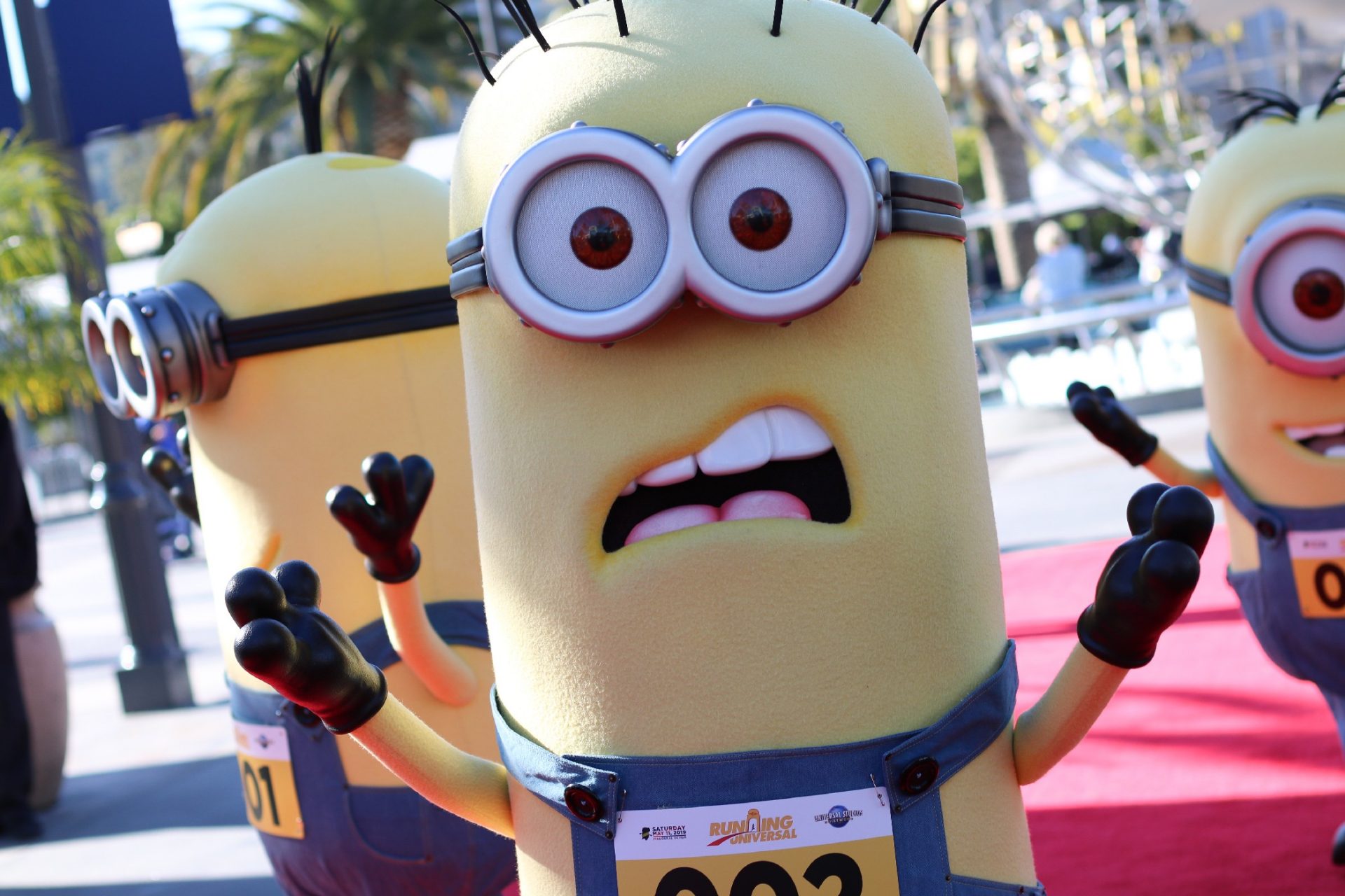 Training for Running Universal at Universal Studios Hollywood | Inside ...