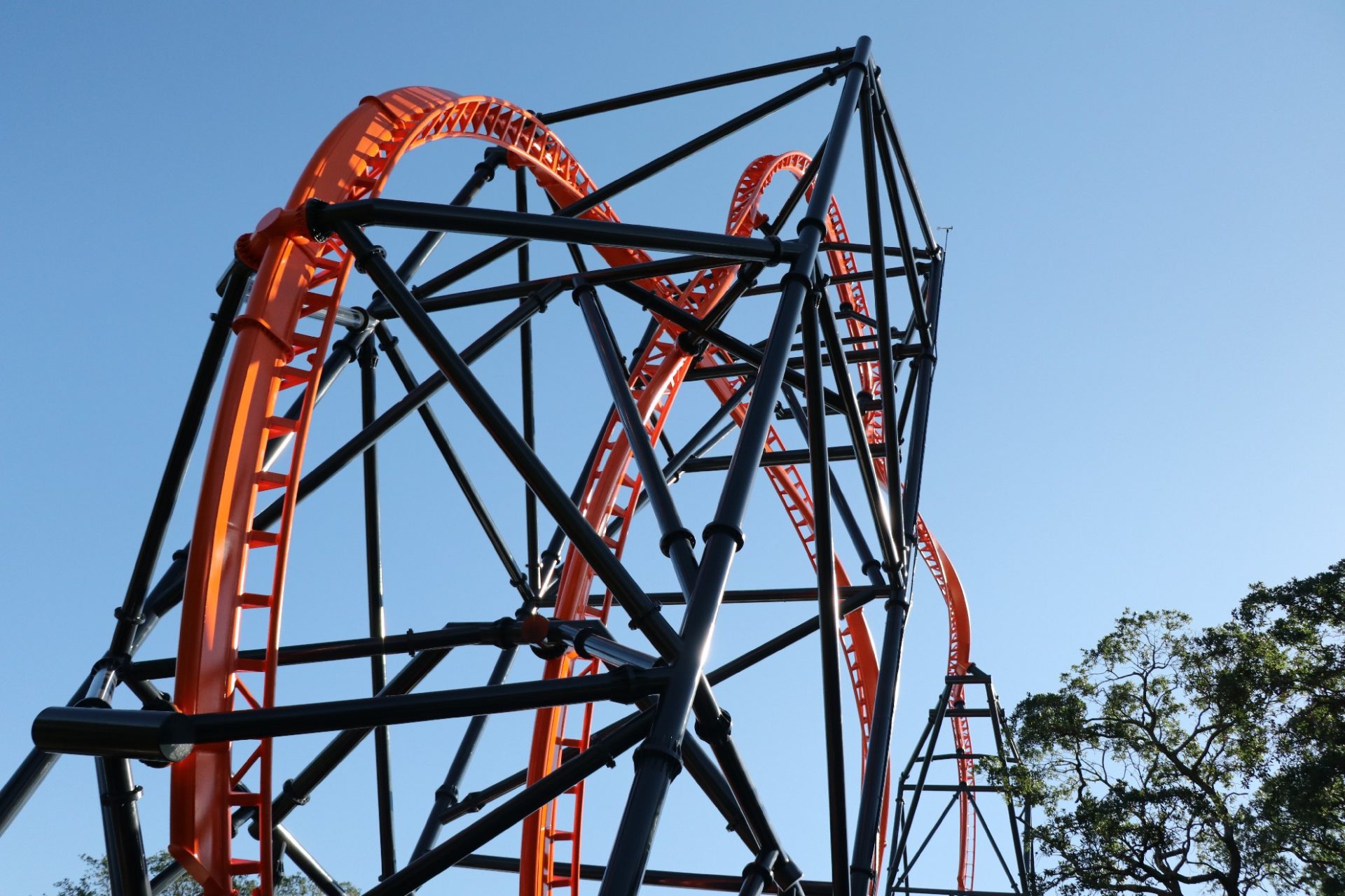 Tigris opens at Busch Gardens Tampa Bay | Inside Universal