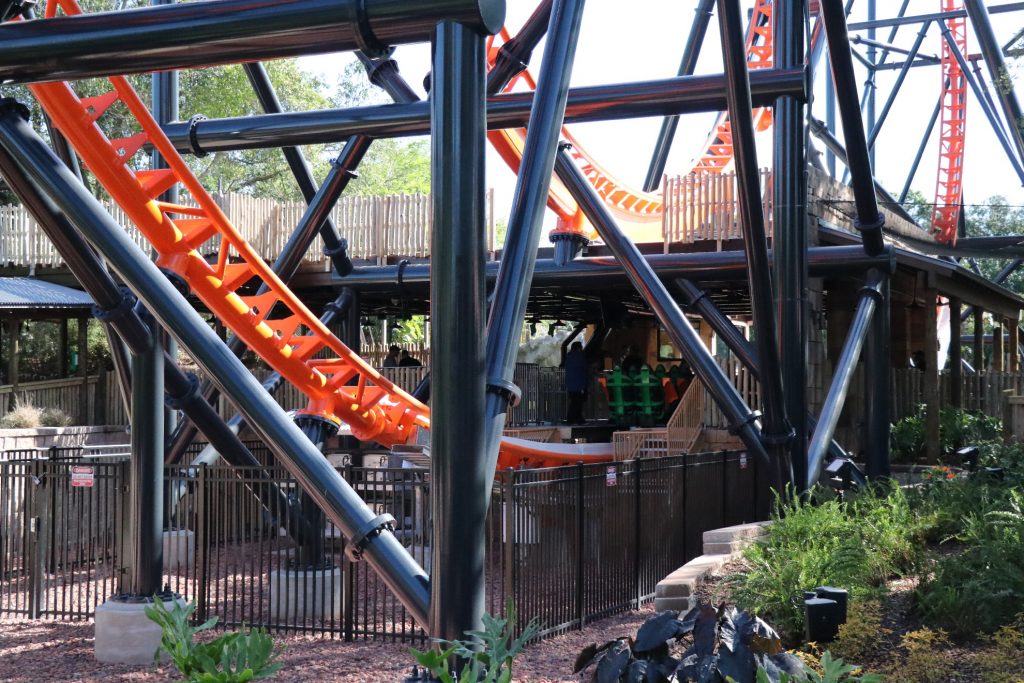Tigris opens at Busch Gardens Tampa Bay | Inside Universal
