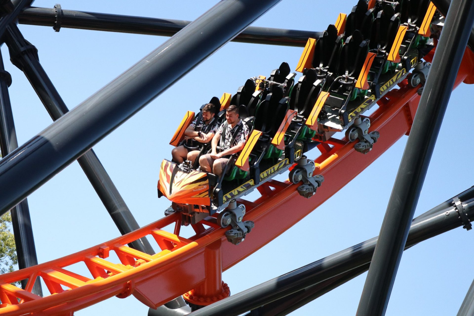 Tigris opens at Busch Gardens Tampa Bay | Inside Universal
