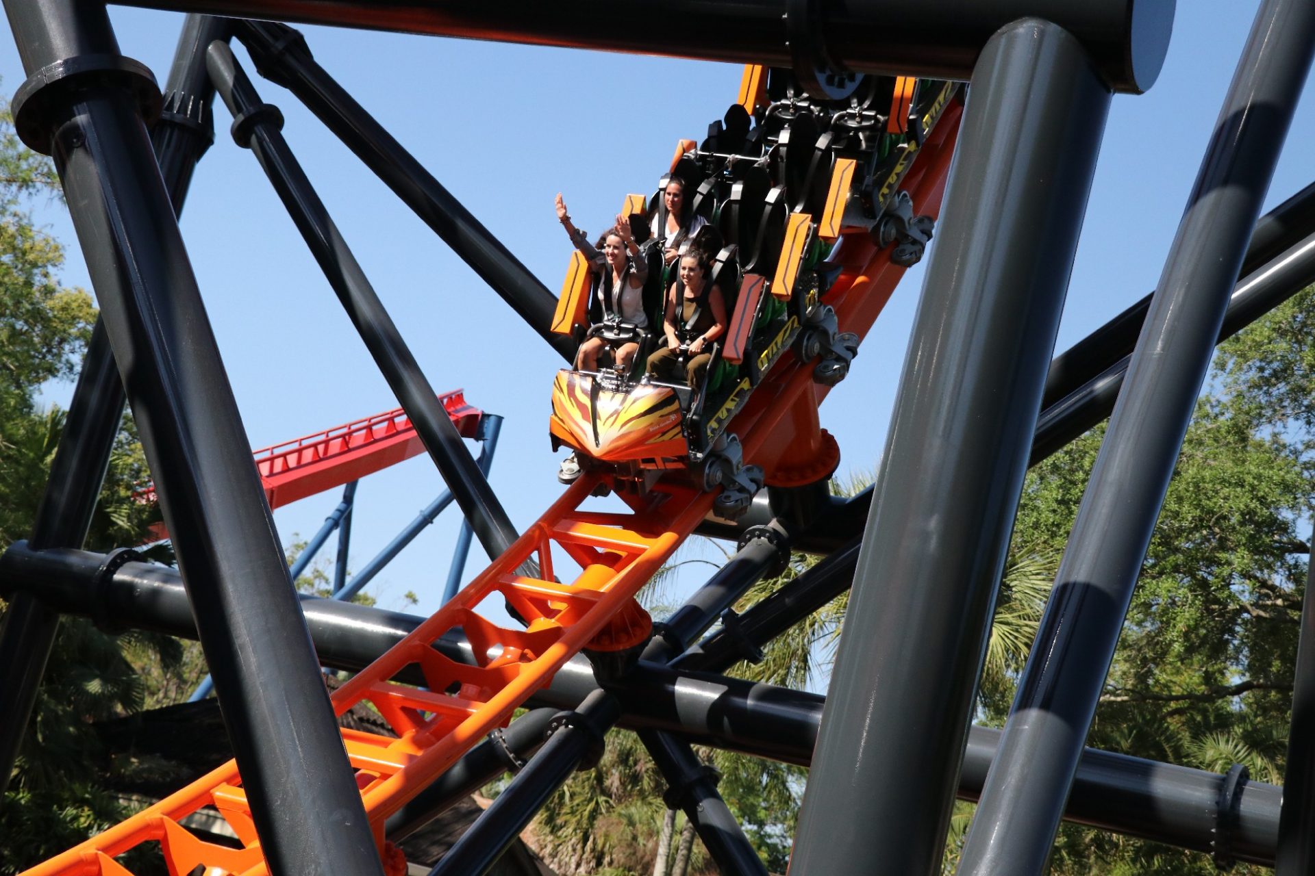 Tigris opens at Busch Gardens Tampa Bay | Inside Universal