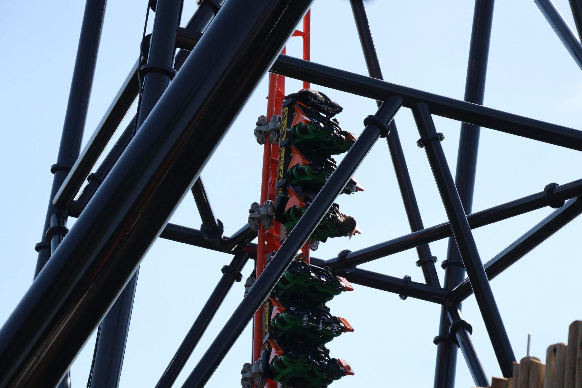 Tigris opens at Busch Gardens Tampa Bay | Inside Universal