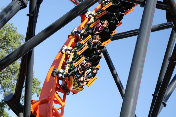 Tigris opens at Busch Gardens Tampa Bay | Inside Universal
