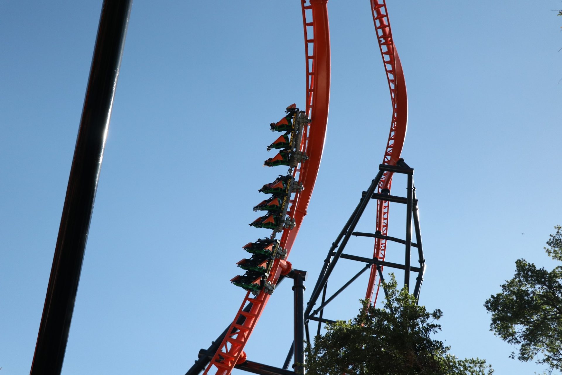 Tigris opens at Busch Gardens Tampa Bay | Inside Universal
