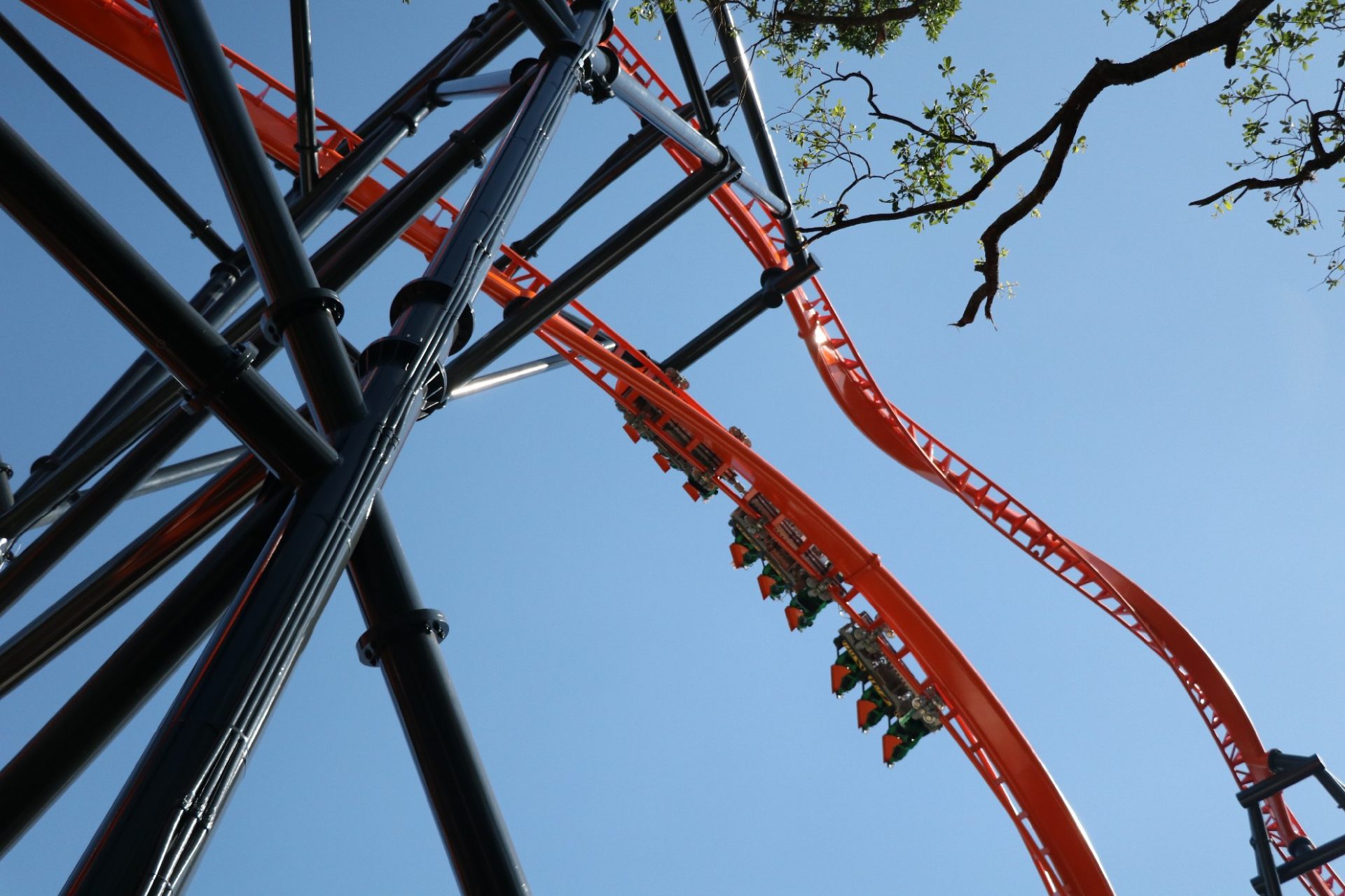 Tigris opens at Busch Gardens Tampa Bay | Inside Universal