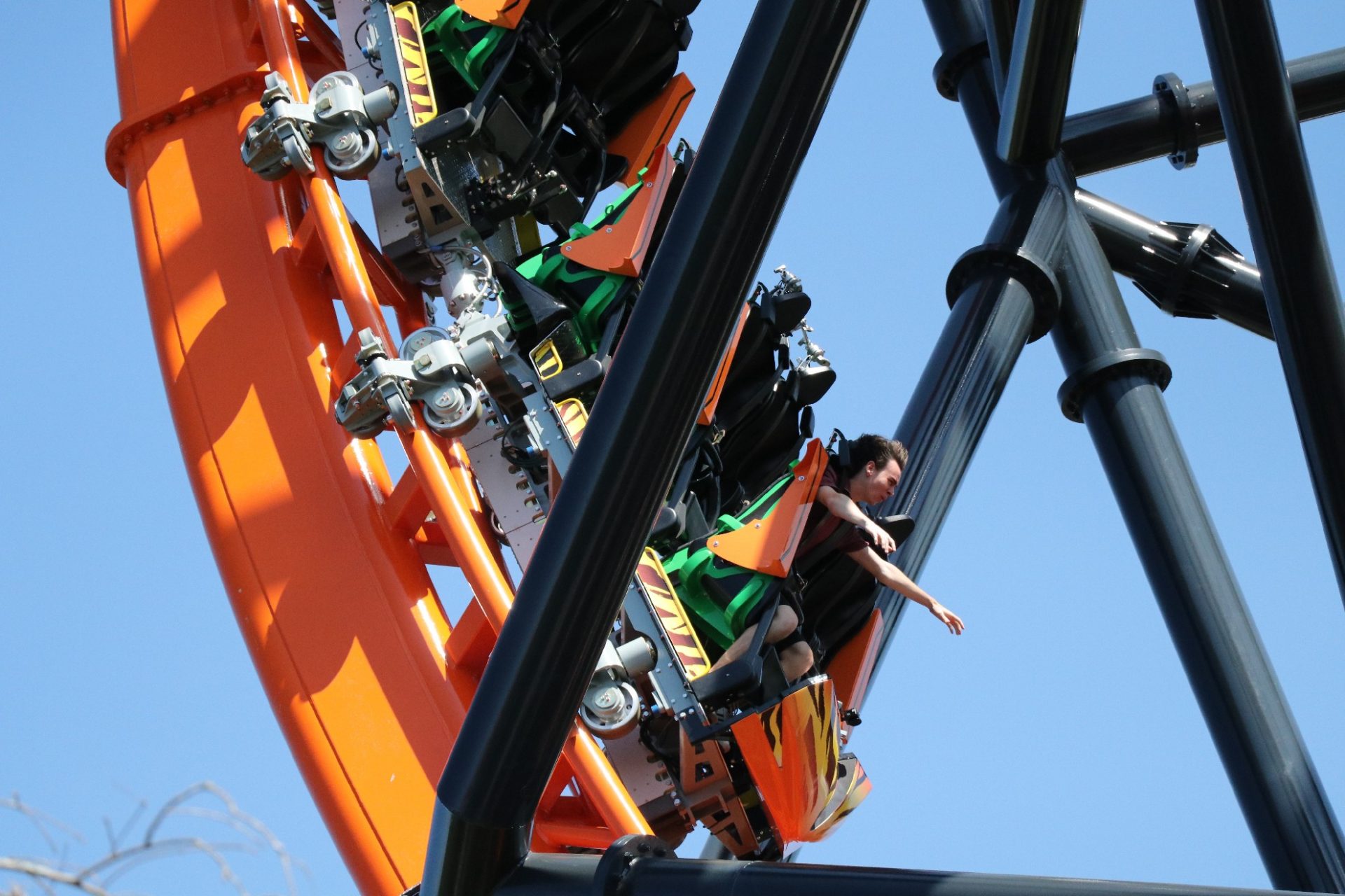 Tigris opens at Busch Gardens Tampa Bay | Inside Universal