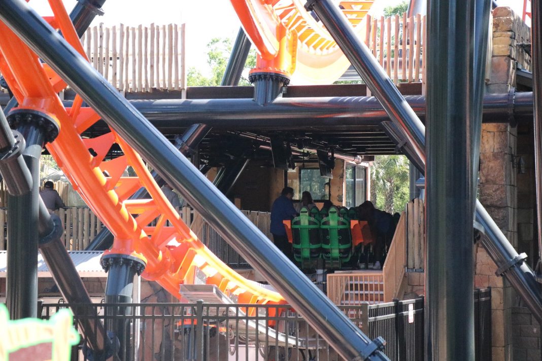 Tigris opens at Busch Gardens Tampa Bay | Inside Universal