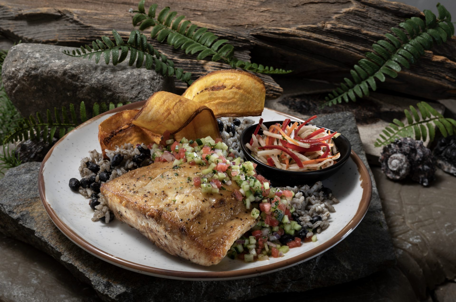 First Look at the All-New Isla Nu-bar and Jurassic Café at Jurassic ...