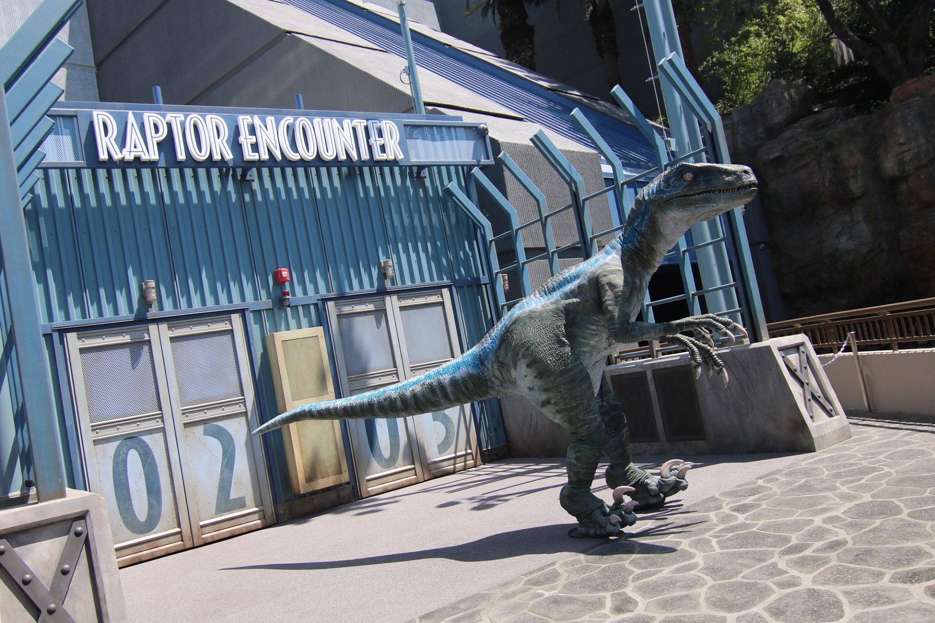 Raptor and Triceratops Encounters debut in Jurassic World at Universal ...