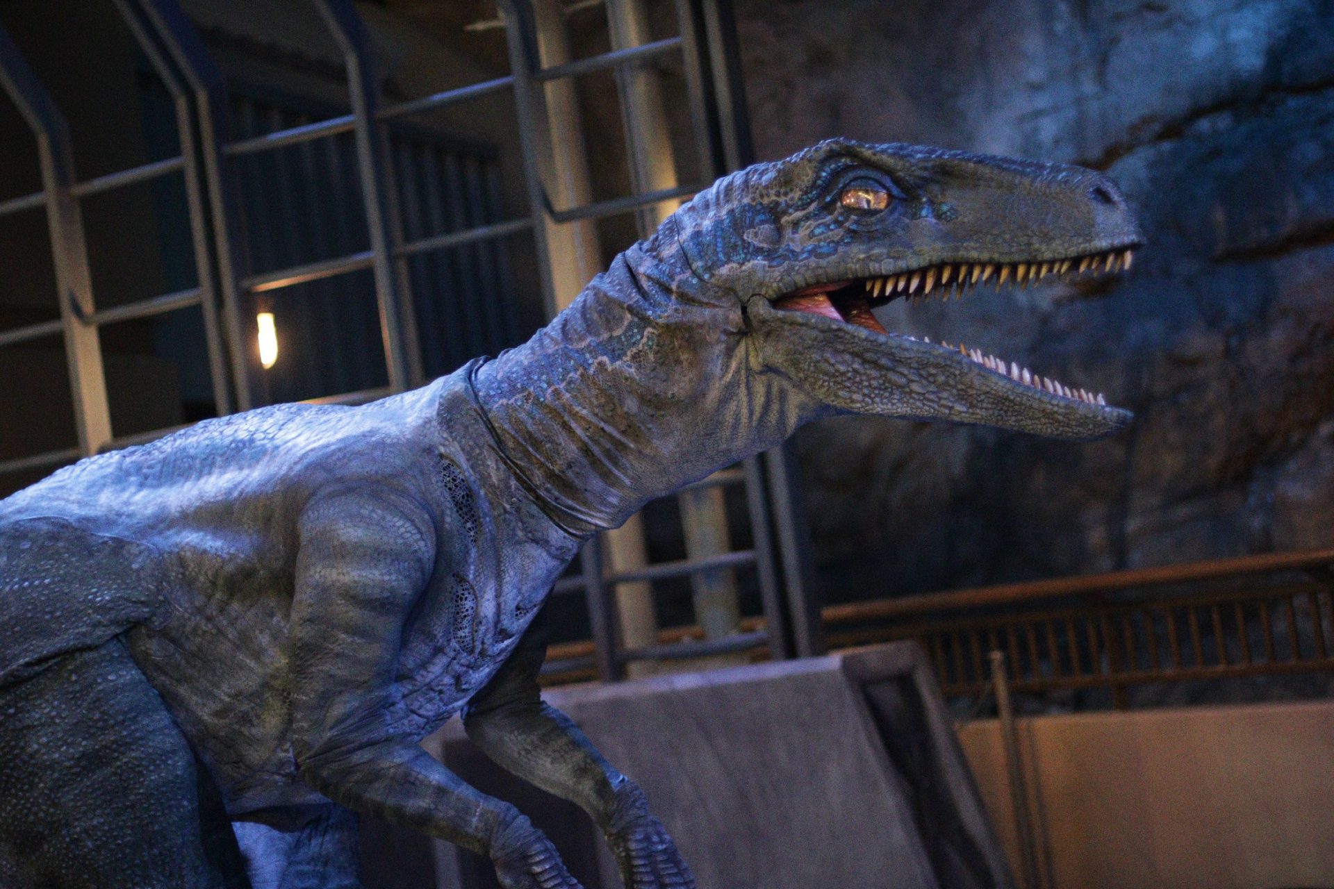 Universal Studios Hollywood celebrates Grand Opening of Jurassic World ...