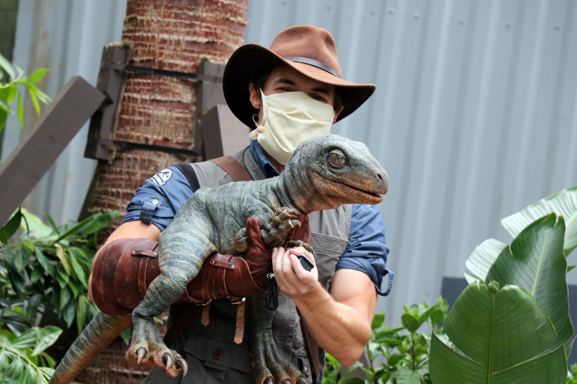 Raptor Encounter Meet & Greet debuts in new location at Islands of ...