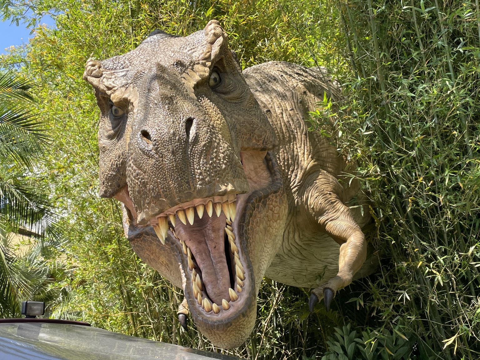 T-Rex photo op returns to Jurassic Park in Islands of Adventure ...
