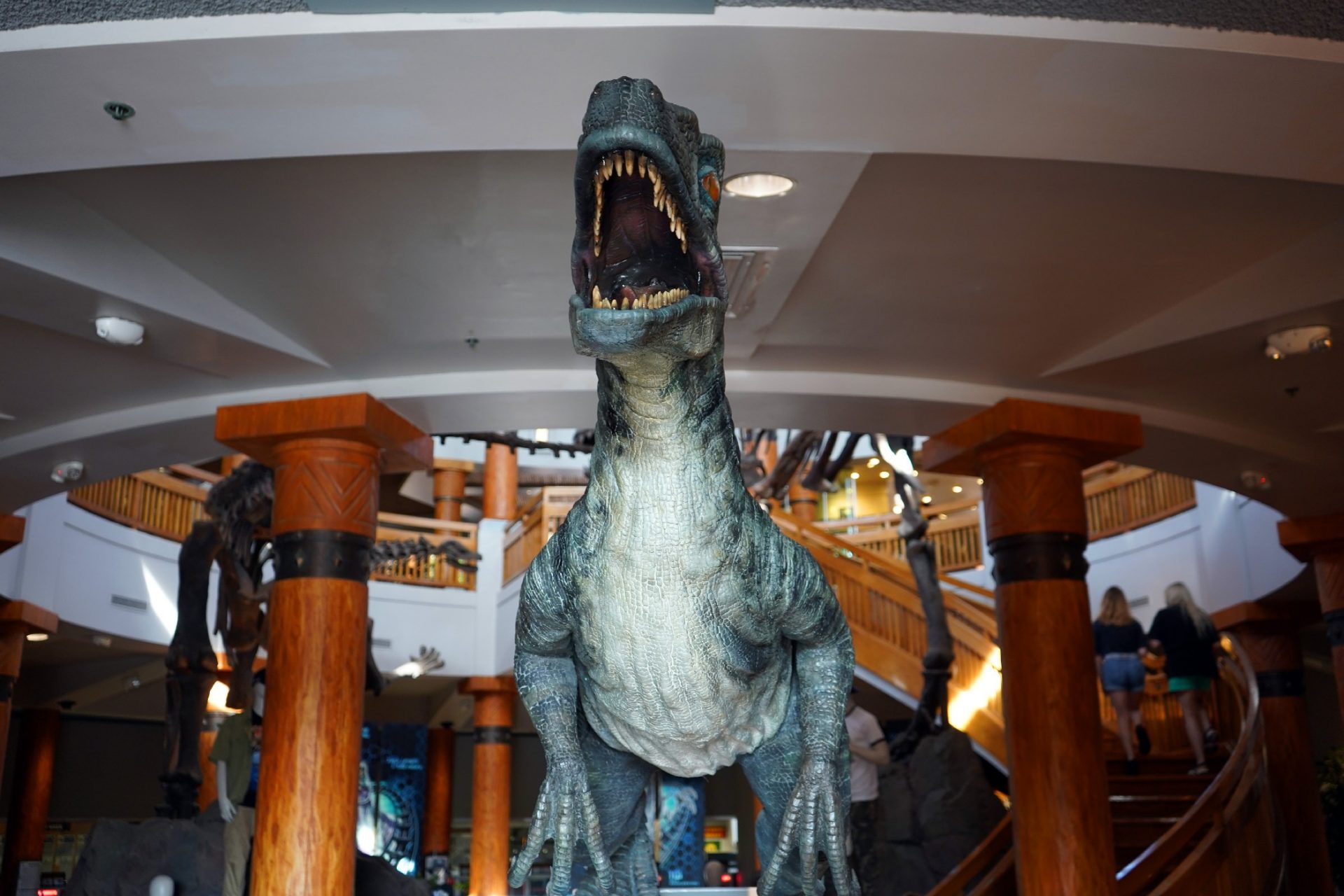 REVIEW: Jurassic World VelociCoaster at Islands of Adventure | Inside ...