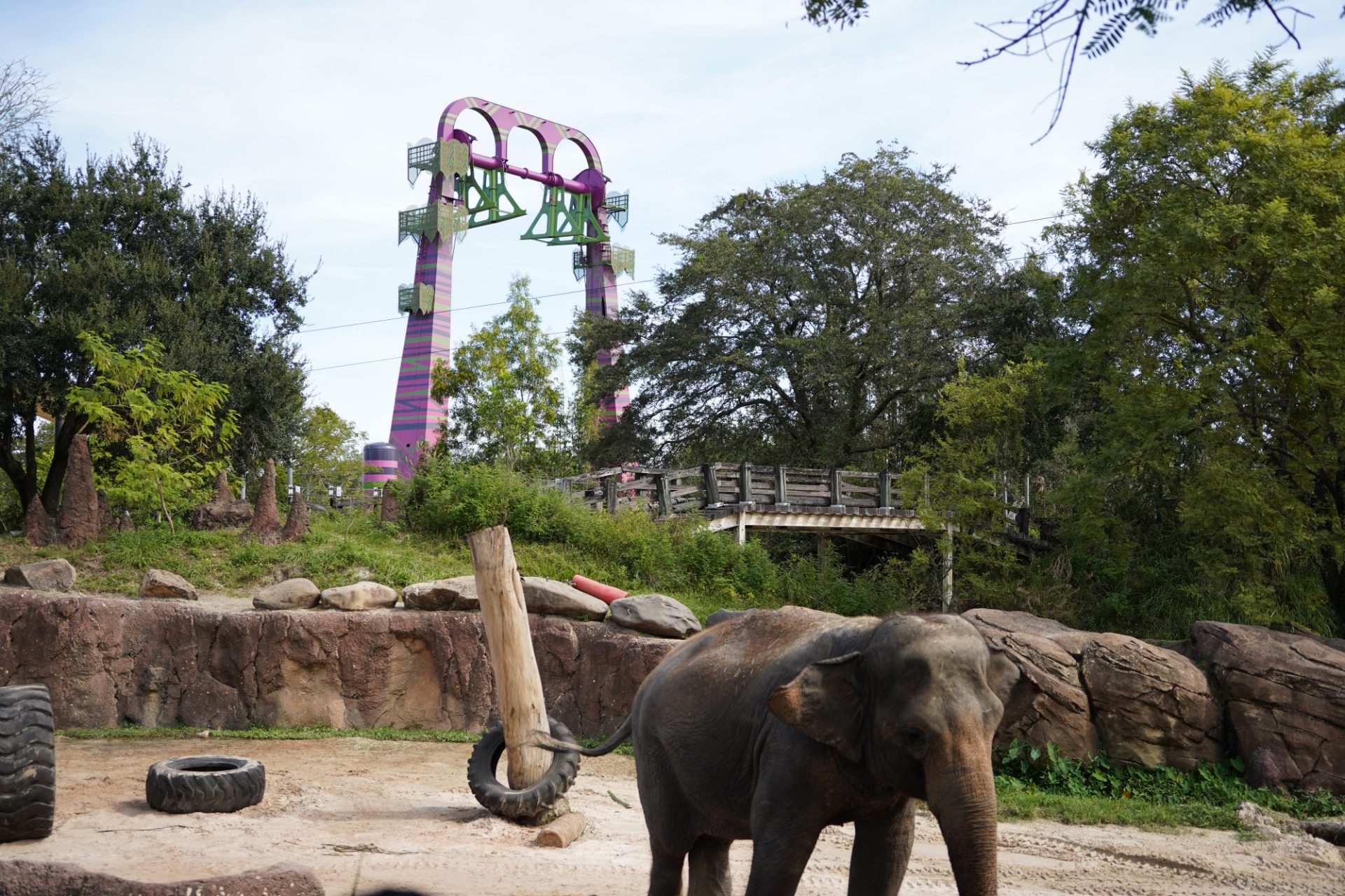 Busch Gardens Tampa announces new attraction, Serengeti Flyer, opening ...