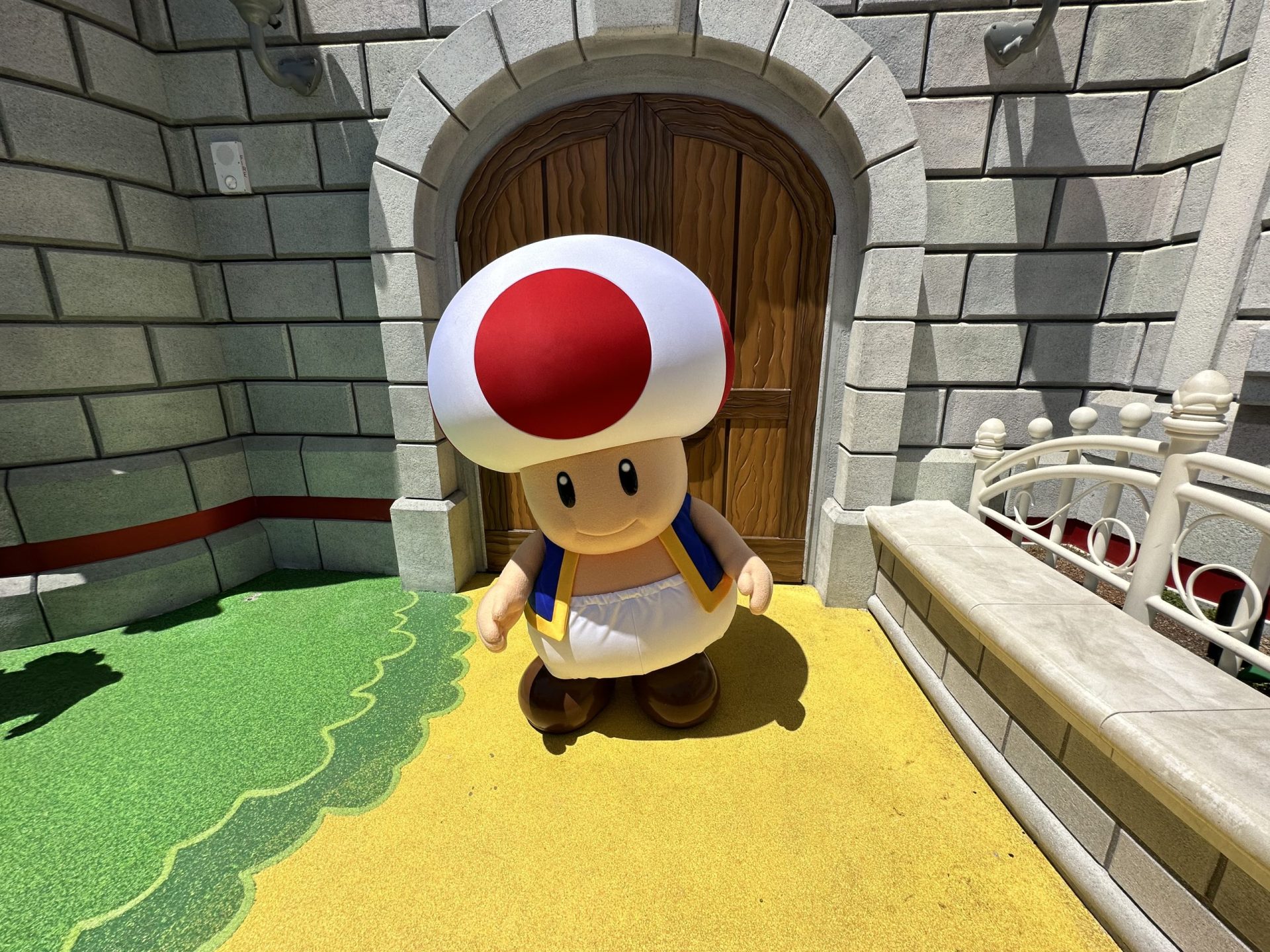 Toad Meet & Greet debuts at Super Nintendo World at Universal Studios ...