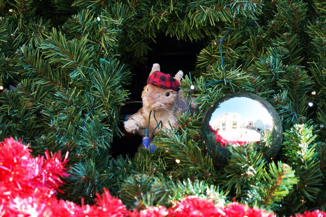 The Story of Earl The Squirrel; Universal Orlando’s Holiday icon ...