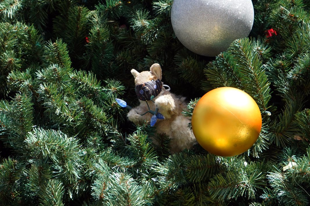 The Story of Earl The Squirrel; Universal Orlando’s Holiday icon ...