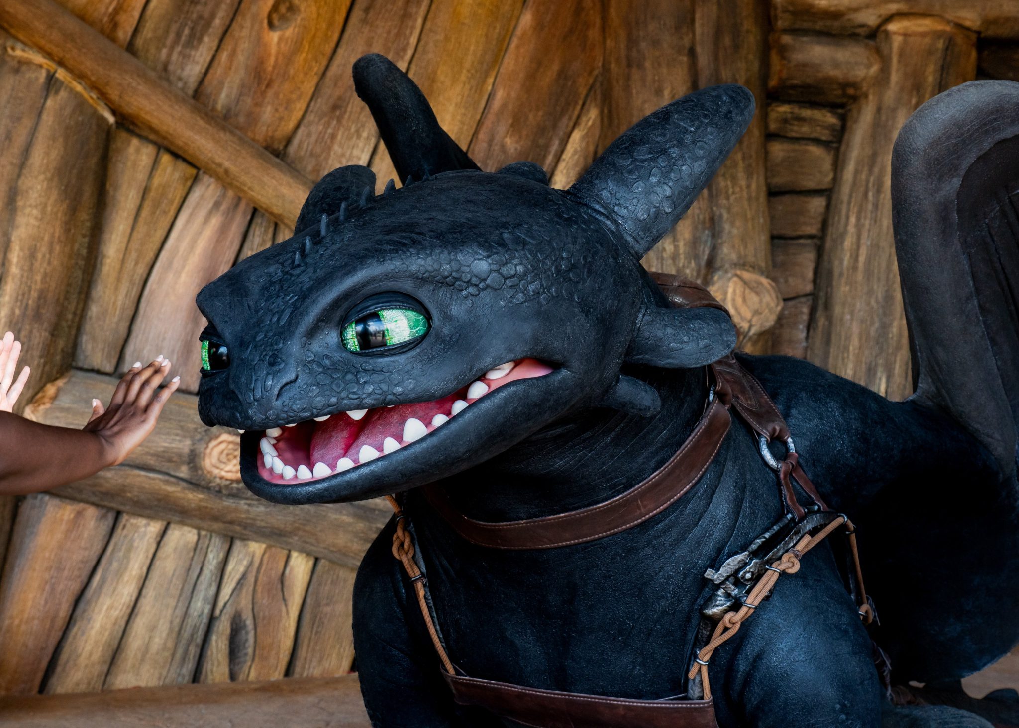 Universal Orlando shares first look at Toothless & Hiccup Meet & Greet ...