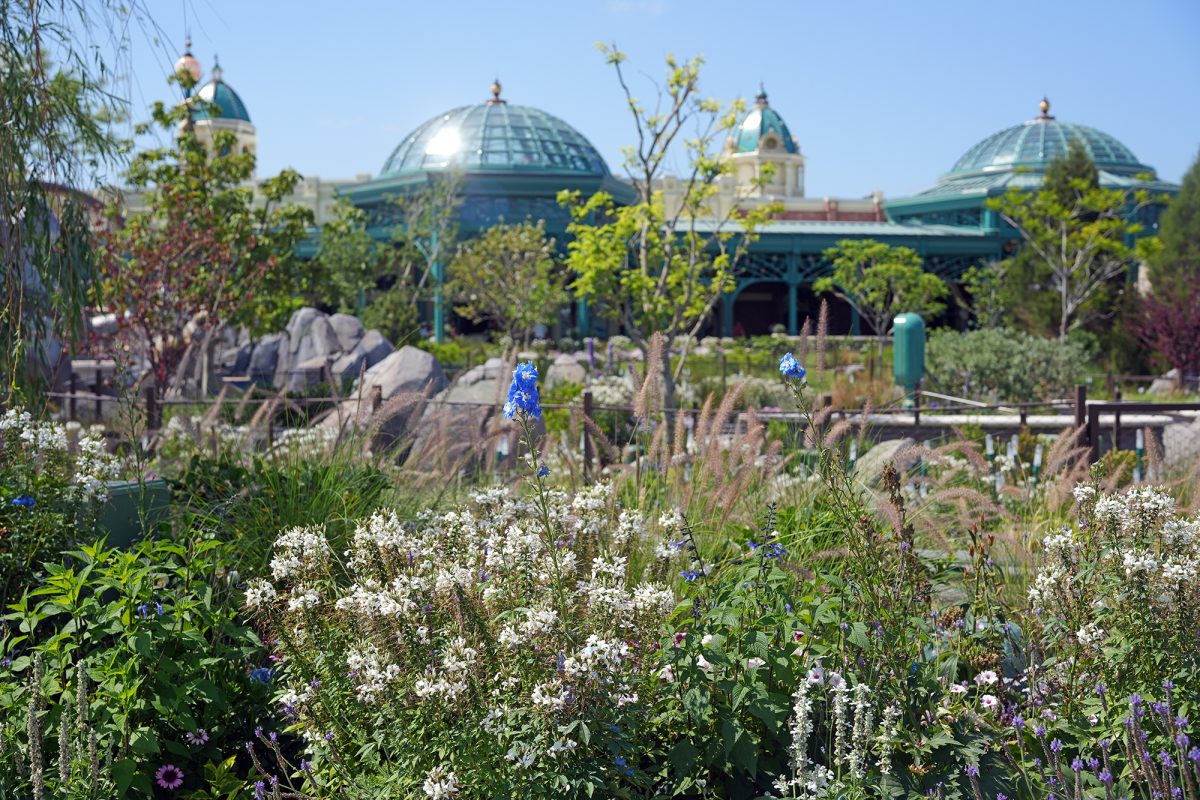 REVIEW: Epic Universe at Universal Orlando – Inside Universal