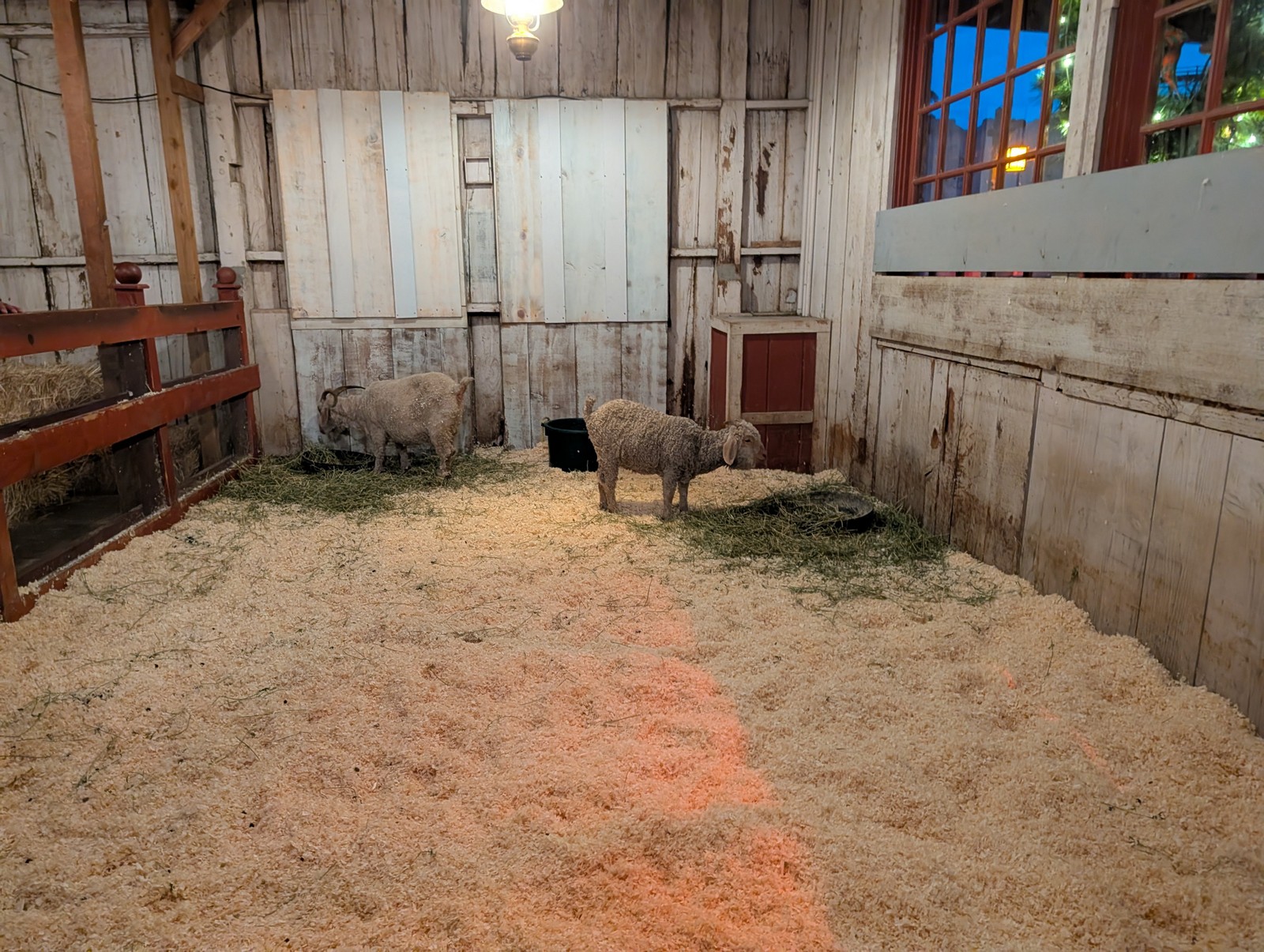 PXL_20251122_010833511 – Inside Universal